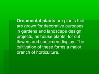 Horticulture | PPT