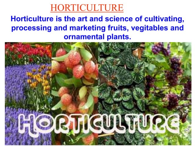 Horticulture | PPT