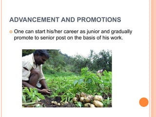 Career in Horticulture | PPTX