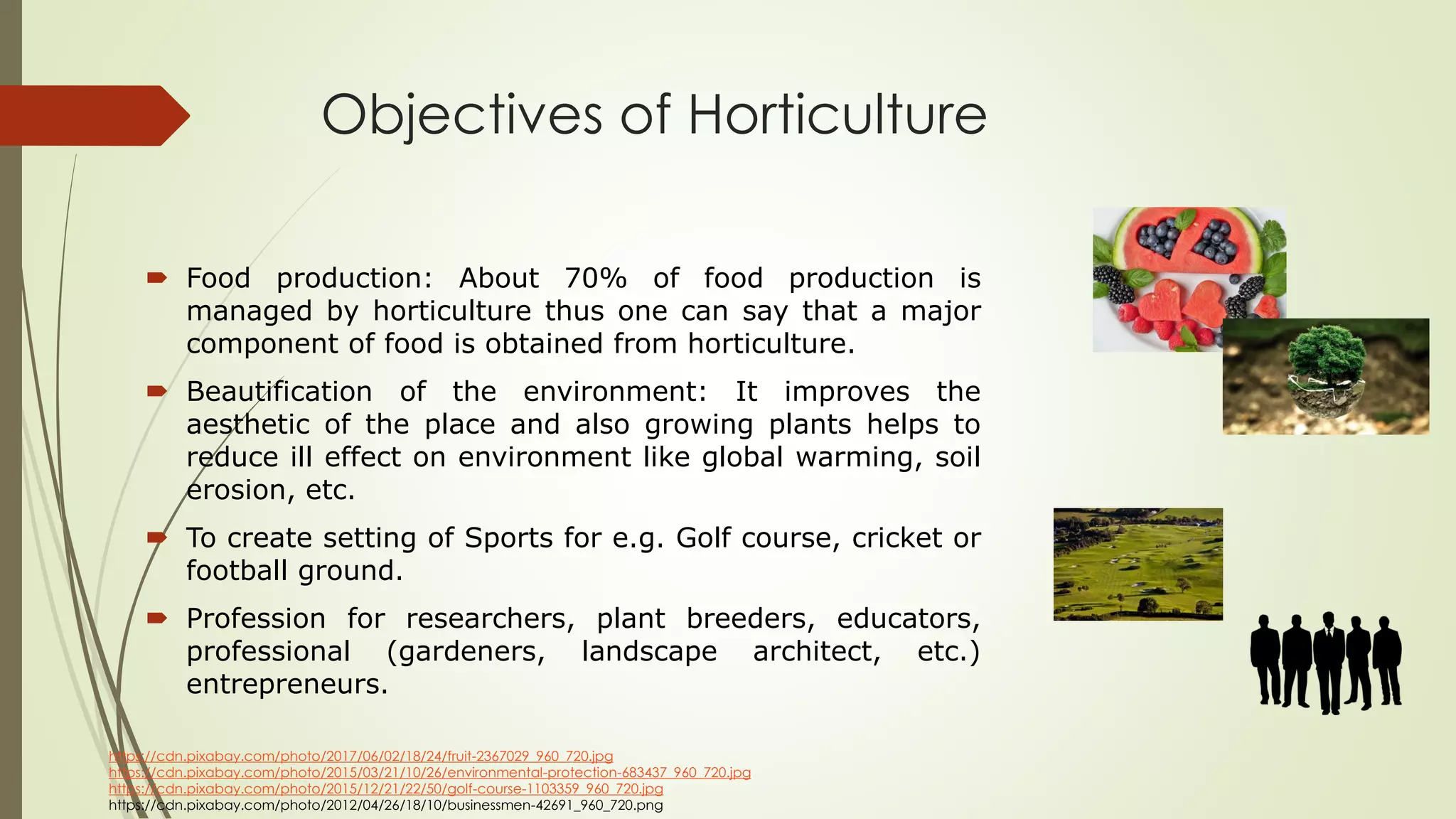 Horticulture | PPT