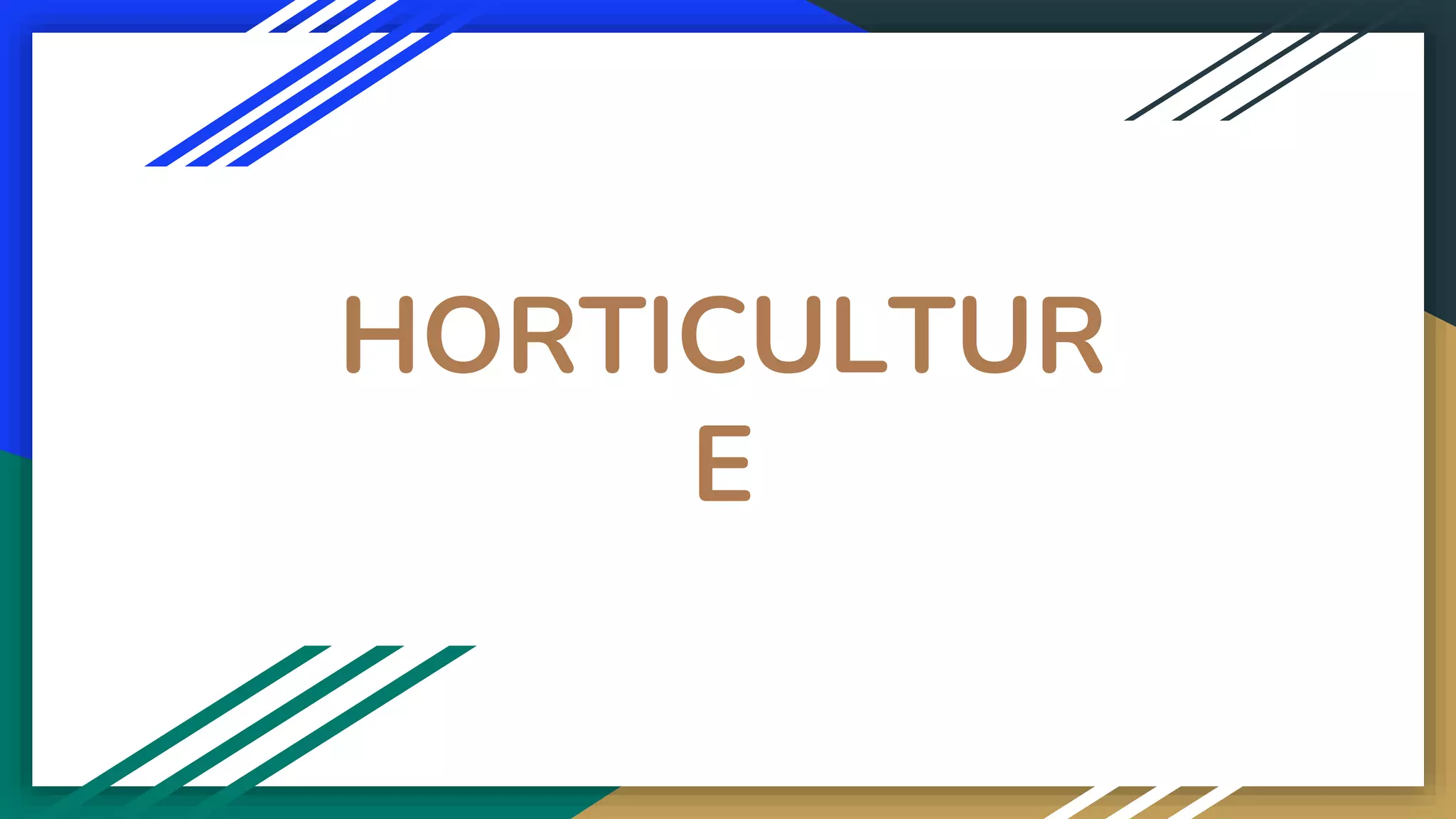 HORTICULTURE.pptx