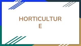 HORTICULTURE.pptx
