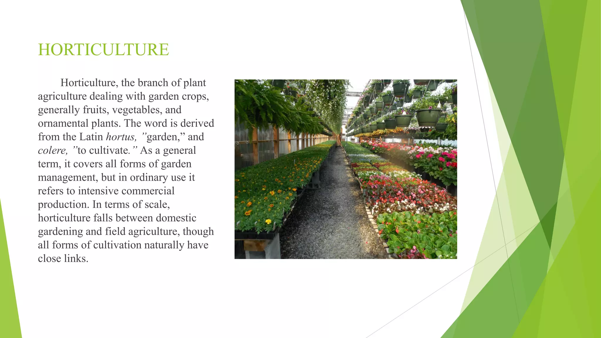 HORTICULTURE.pdf