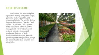 HORTICULTURE.pdf