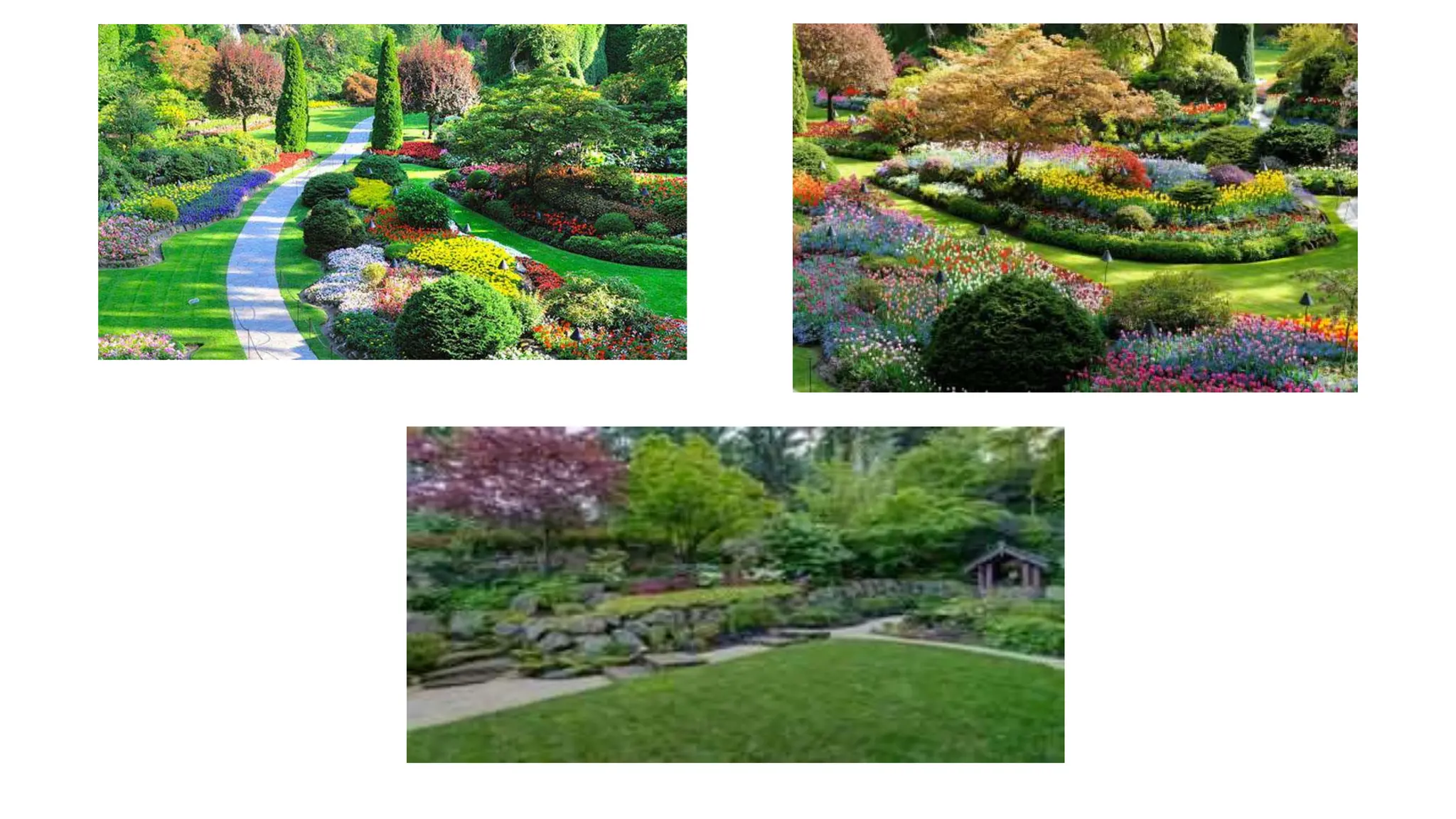 Principles of landscape gardening and types of garden | PPTX