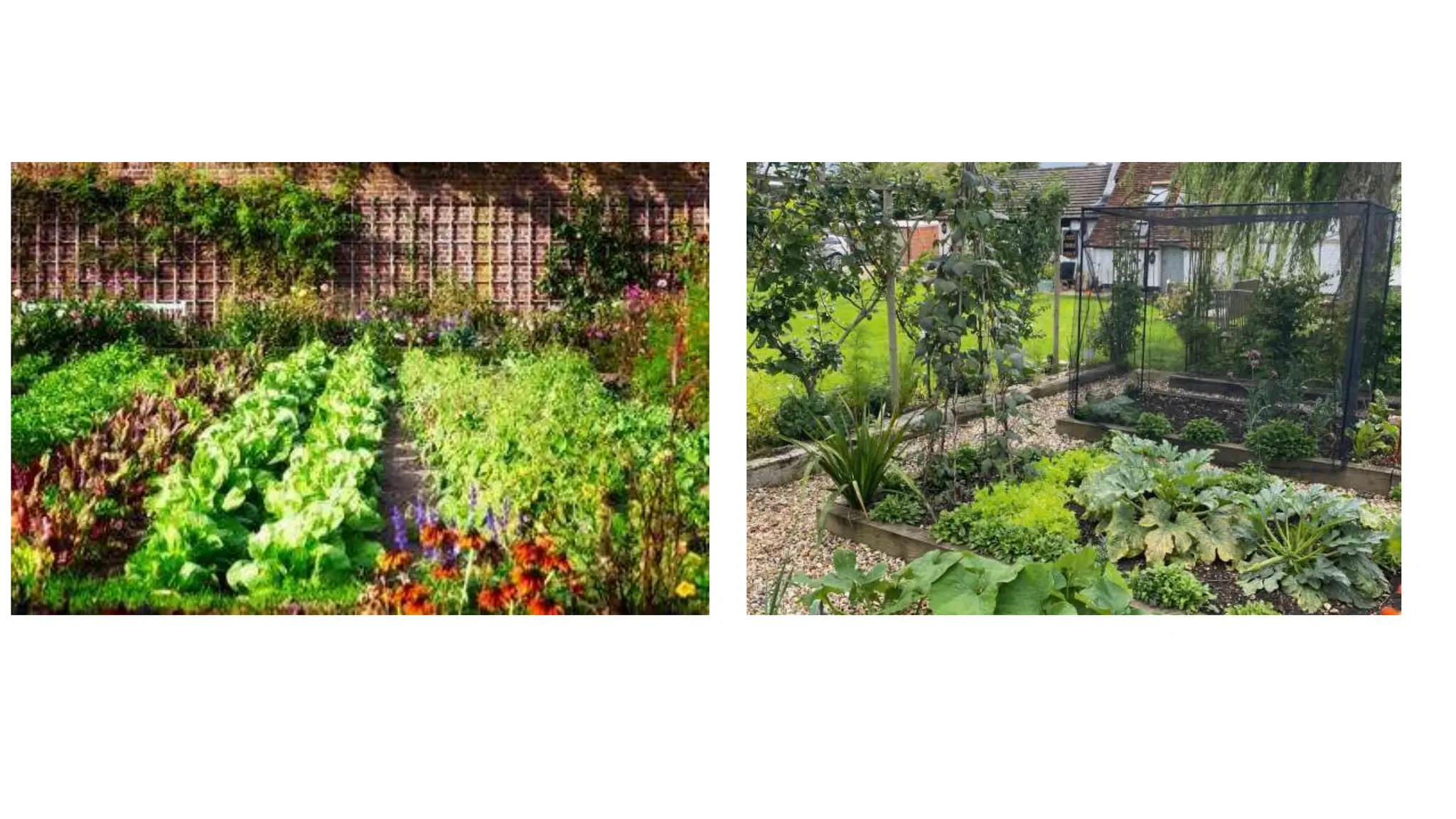 Principles of landscape gardening and types of garden | PPTX