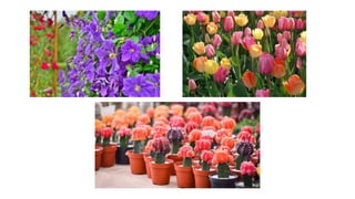 Principles of landscape gardening and types of garden | PPTX