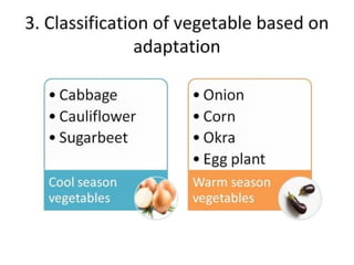 Horticulture Pomology → Olericulture → Floriculture → Plantation Crops ...