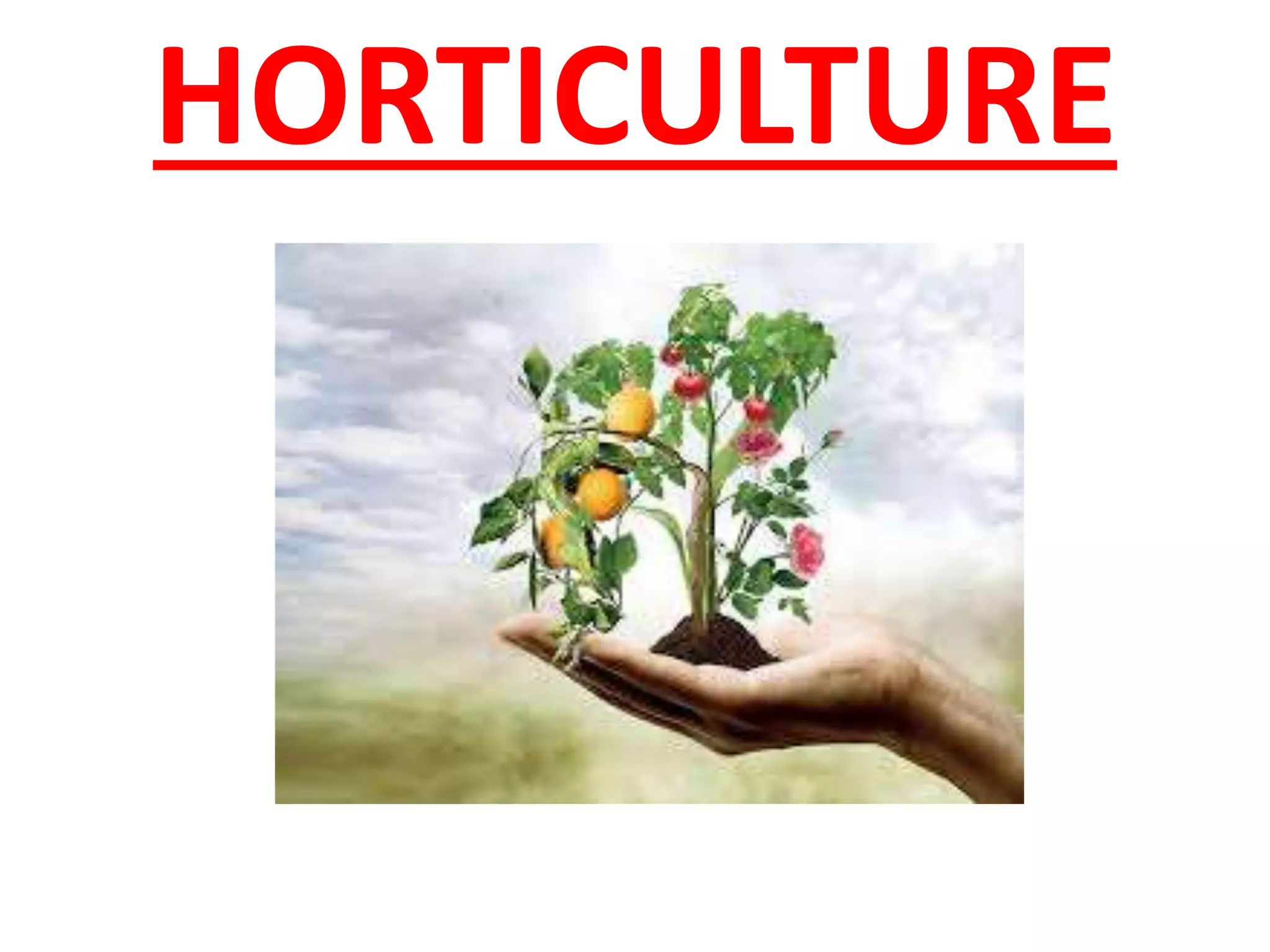 Horticulture 1 | PPTX