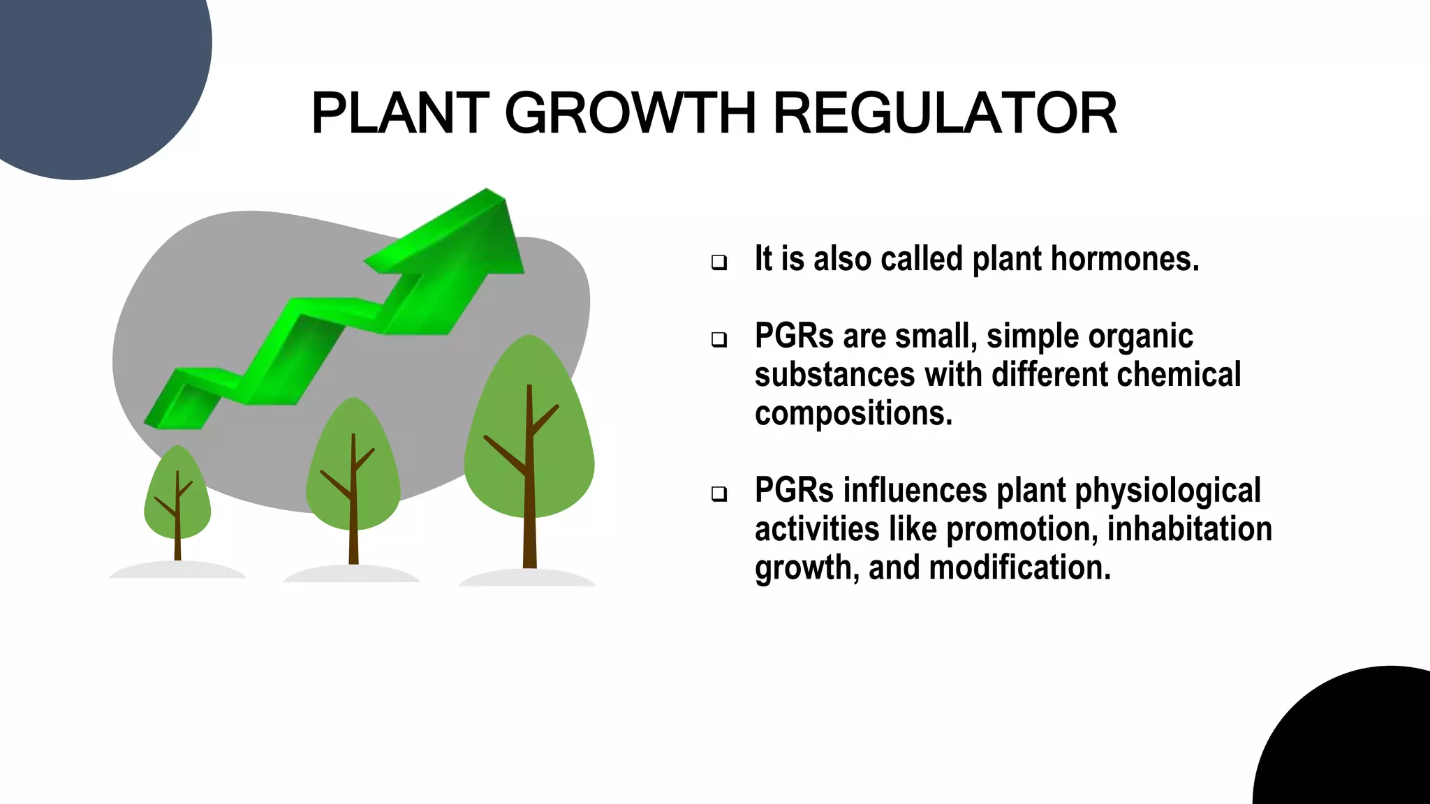 Plant growth hormones | PPTX