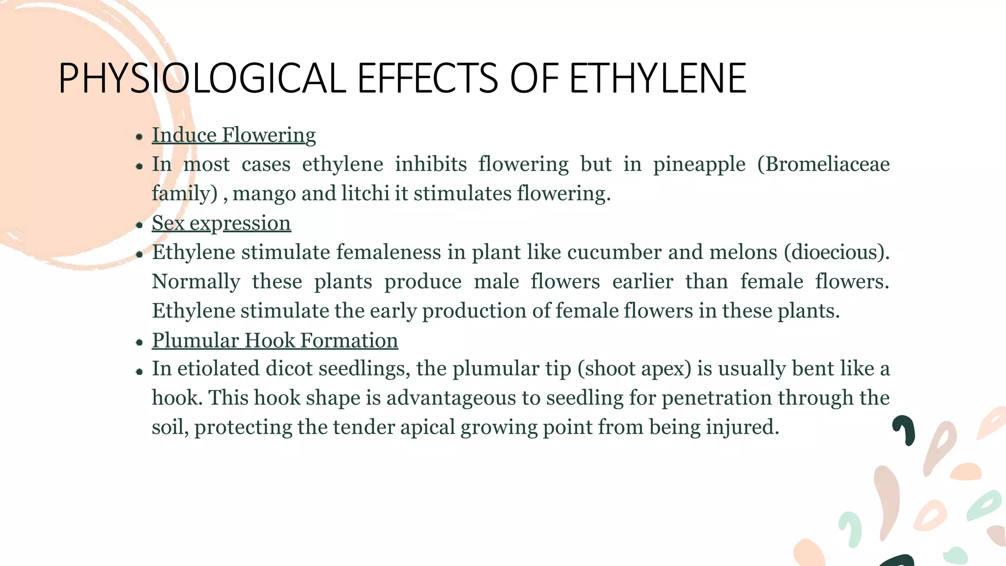 Plant growth hormones | PPTX