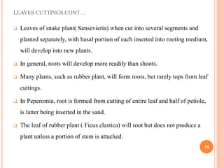 Plant propagation methods : types, features etc. | PPTX
