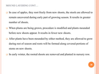 Plant propagation methods : types, features etc. | PPTX