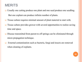 Plant propagation methods : types, features etc. | PPTX