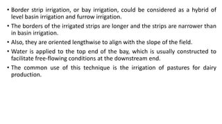Horticulture 5 | PPT
