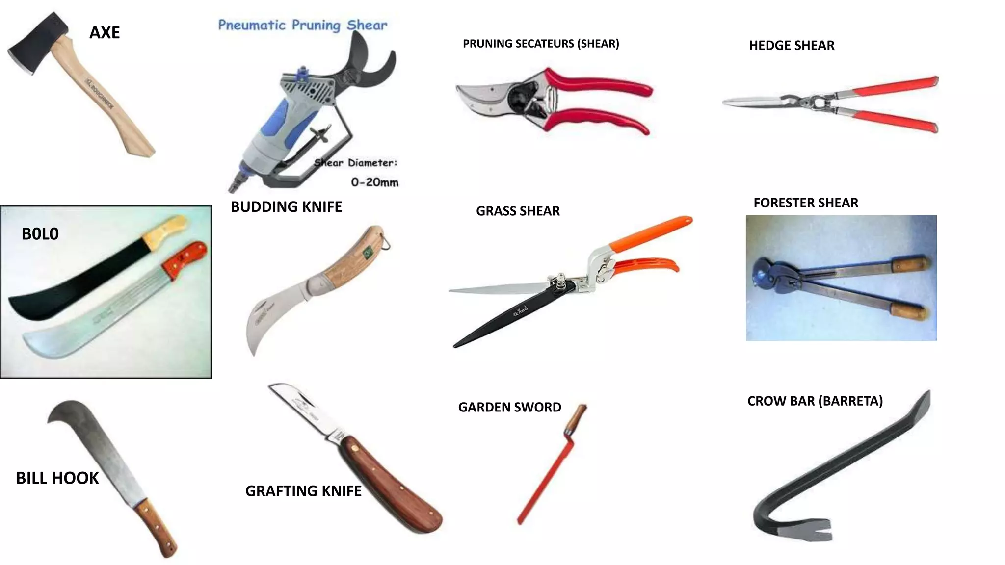 HORTICULTURE HAND TOOLS.pptx