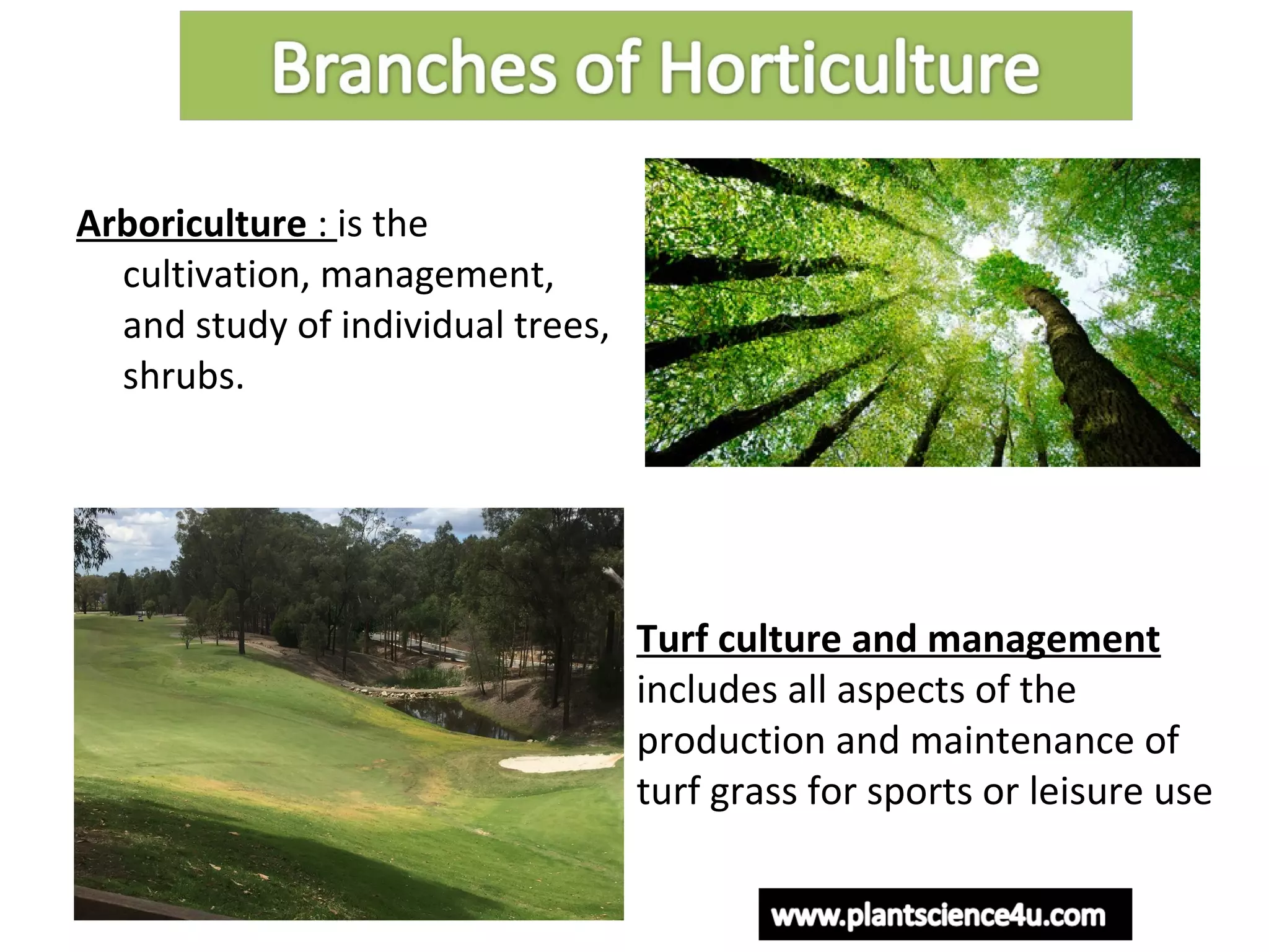 Horticulture introduction - Definition and Branches of Horticulture | PPT