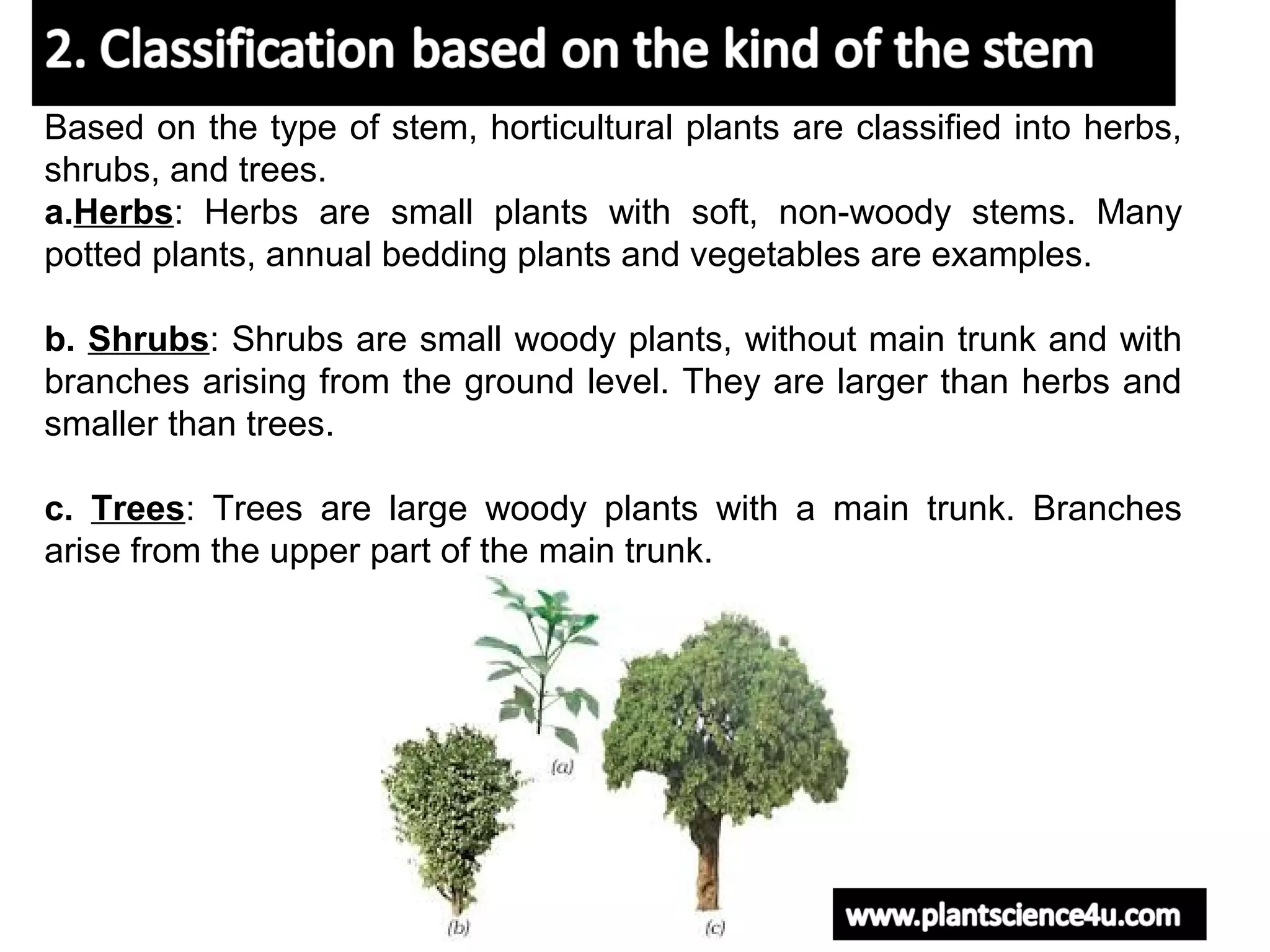Horticulture introduction - Definition and Branches of Horticulture | PPT