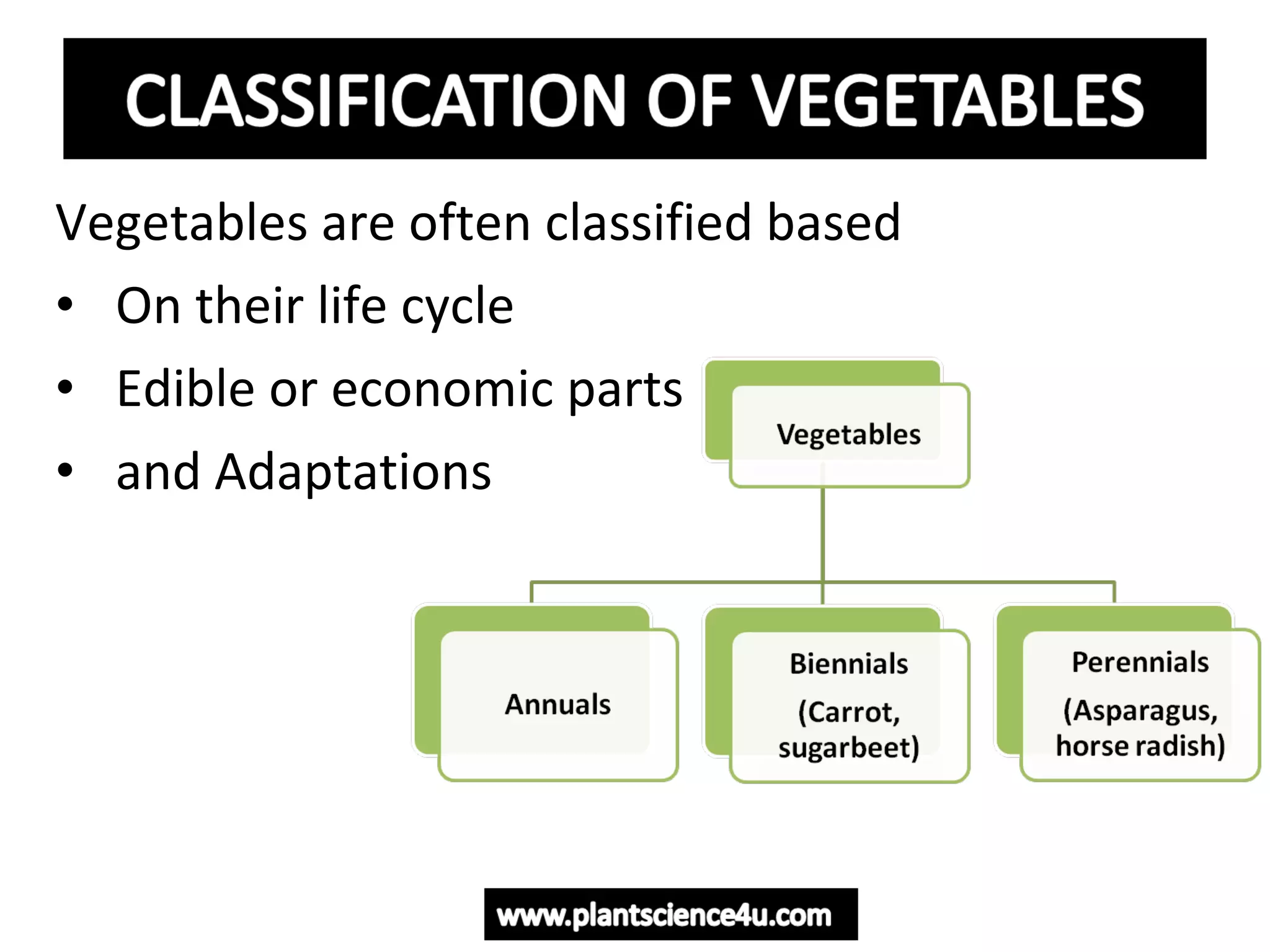 Horticulture introduction - Definition and Branches of Horticulture | PPT