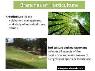Horticulture introduction - Definition and Branches of Horticulture | PPT
