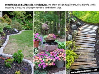 Horticulture introduction - Definition and Branches of Horticulture | PPT