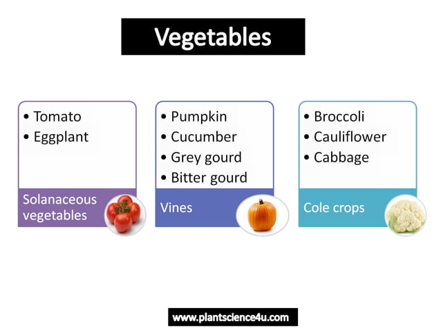 Horticulture introduction - Definition and Branches of Horticulture ...
