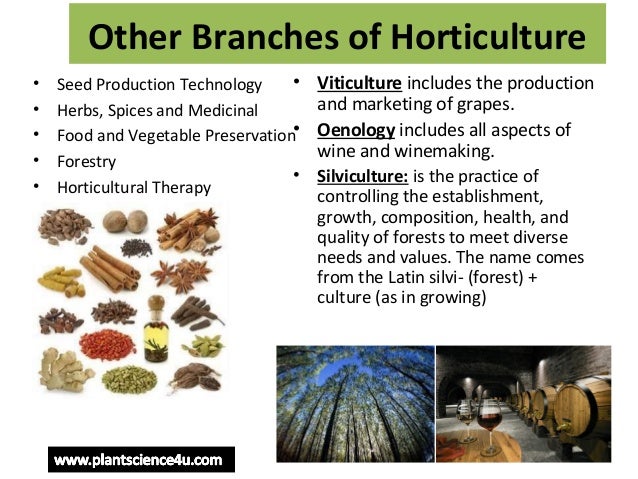 Horticulture introduction - Definition and Branches of Horticulture