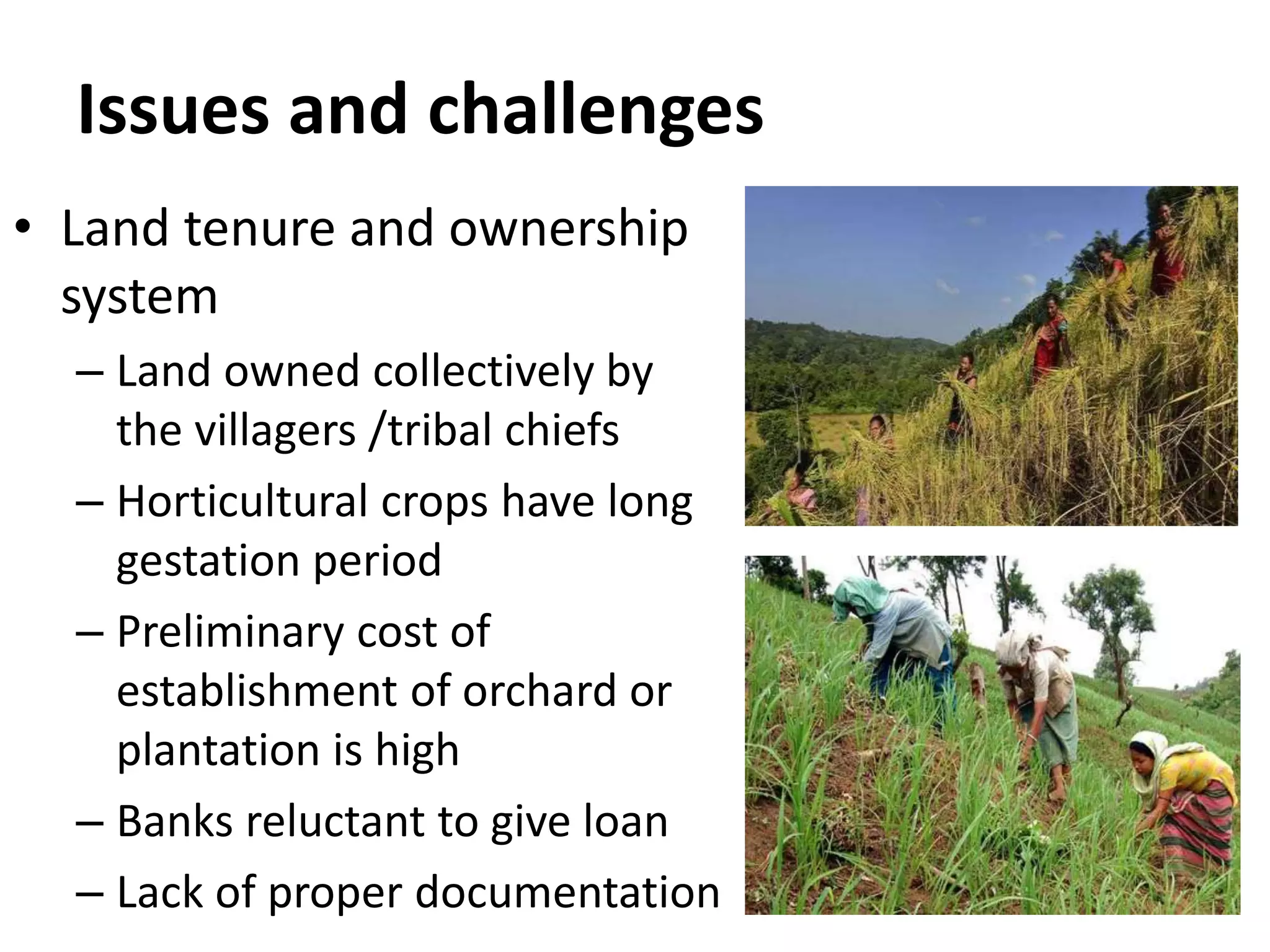 Horticulture issue and challenges in North East India | PPTX