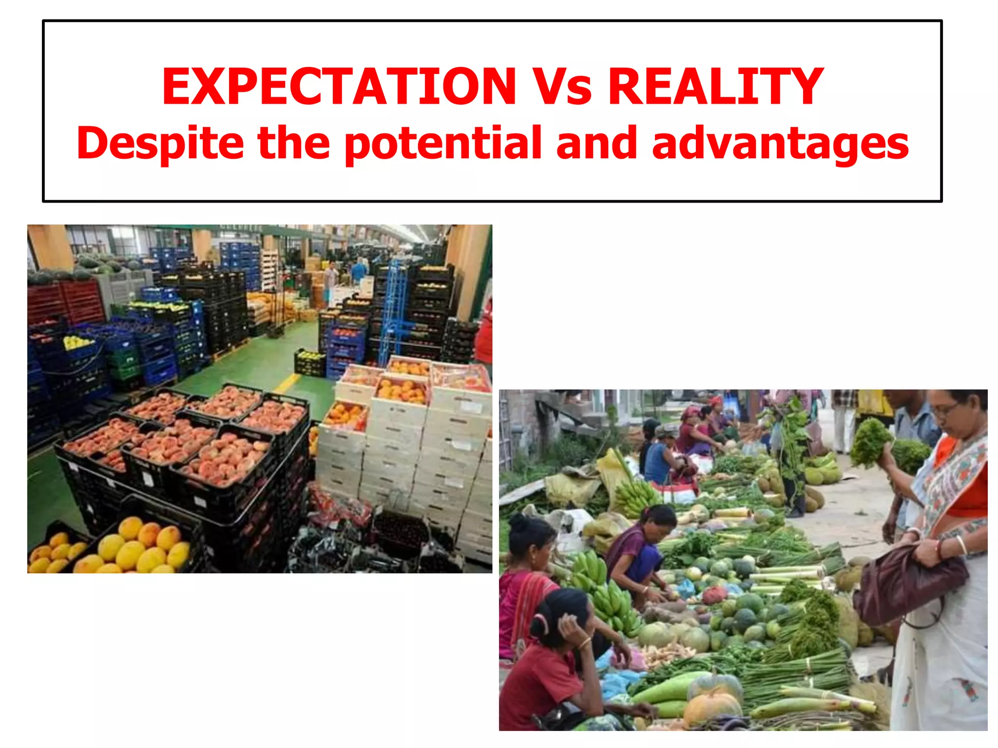 Horticulture issue and challenges in North East India | PPTX
