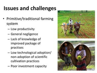 Horticulture issue and challenges in North East India | PPTX