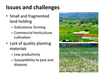 Horticulture issue and challenges in North East India | PPTX