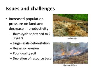 Horticulture issue and challenges in North East India | PPTX
