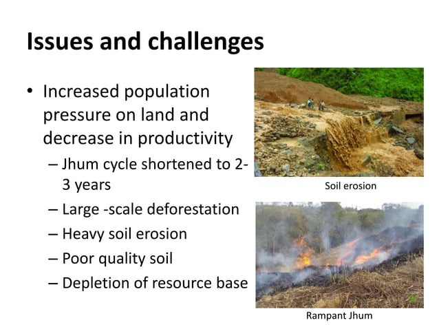 Horticulture issue and challenges in North East India | PPTX