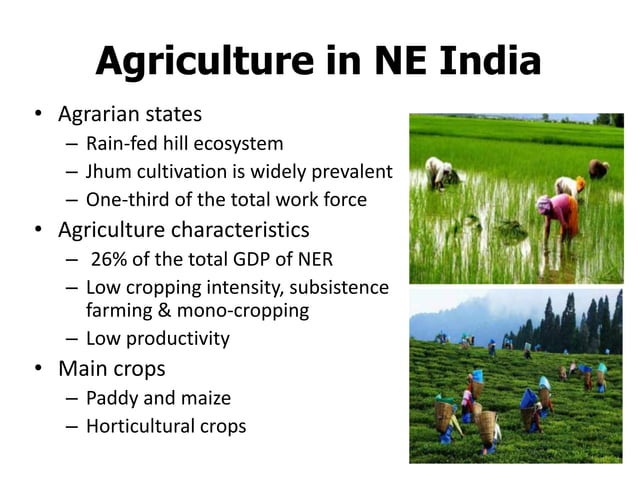 Horticulture issue and challenges in North East India | PPTX