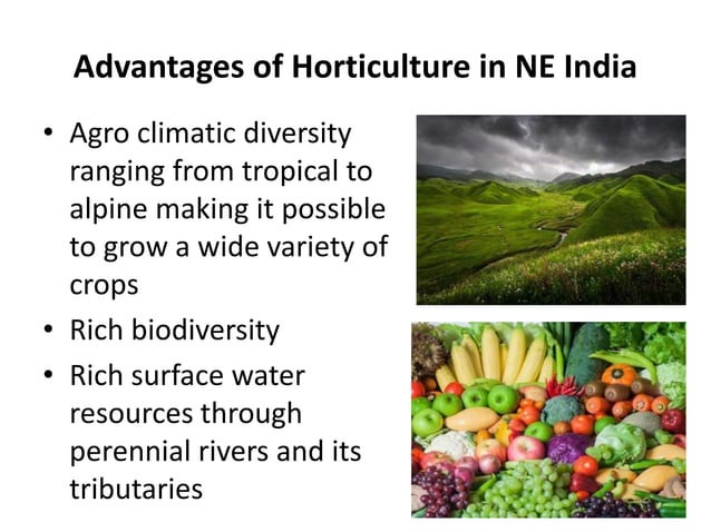Horticulture issue and challenges in North East India | PPTX