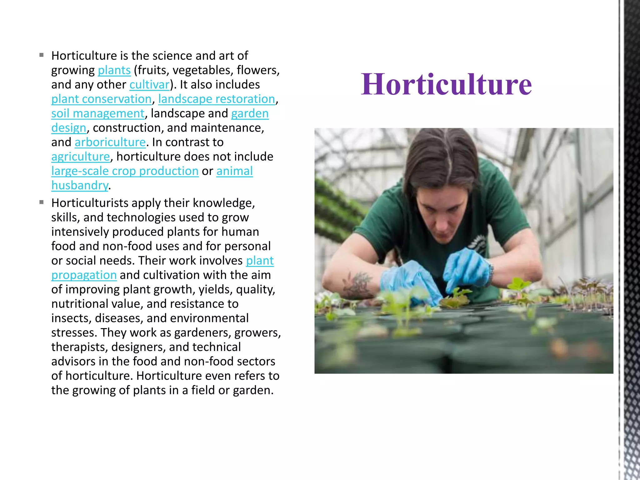 Horticulture ppt | PPTX