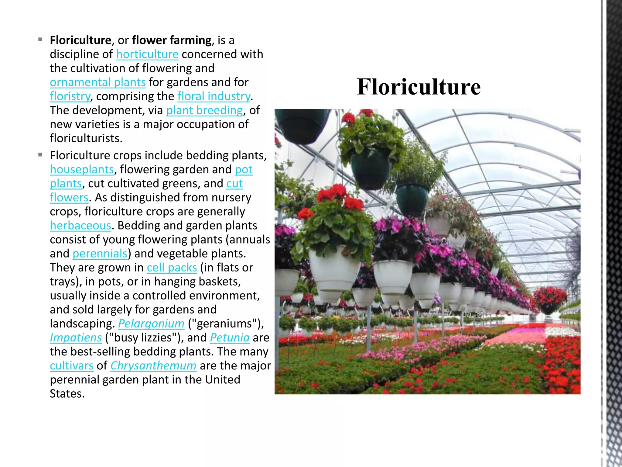 Horticulture ppt | PPTX