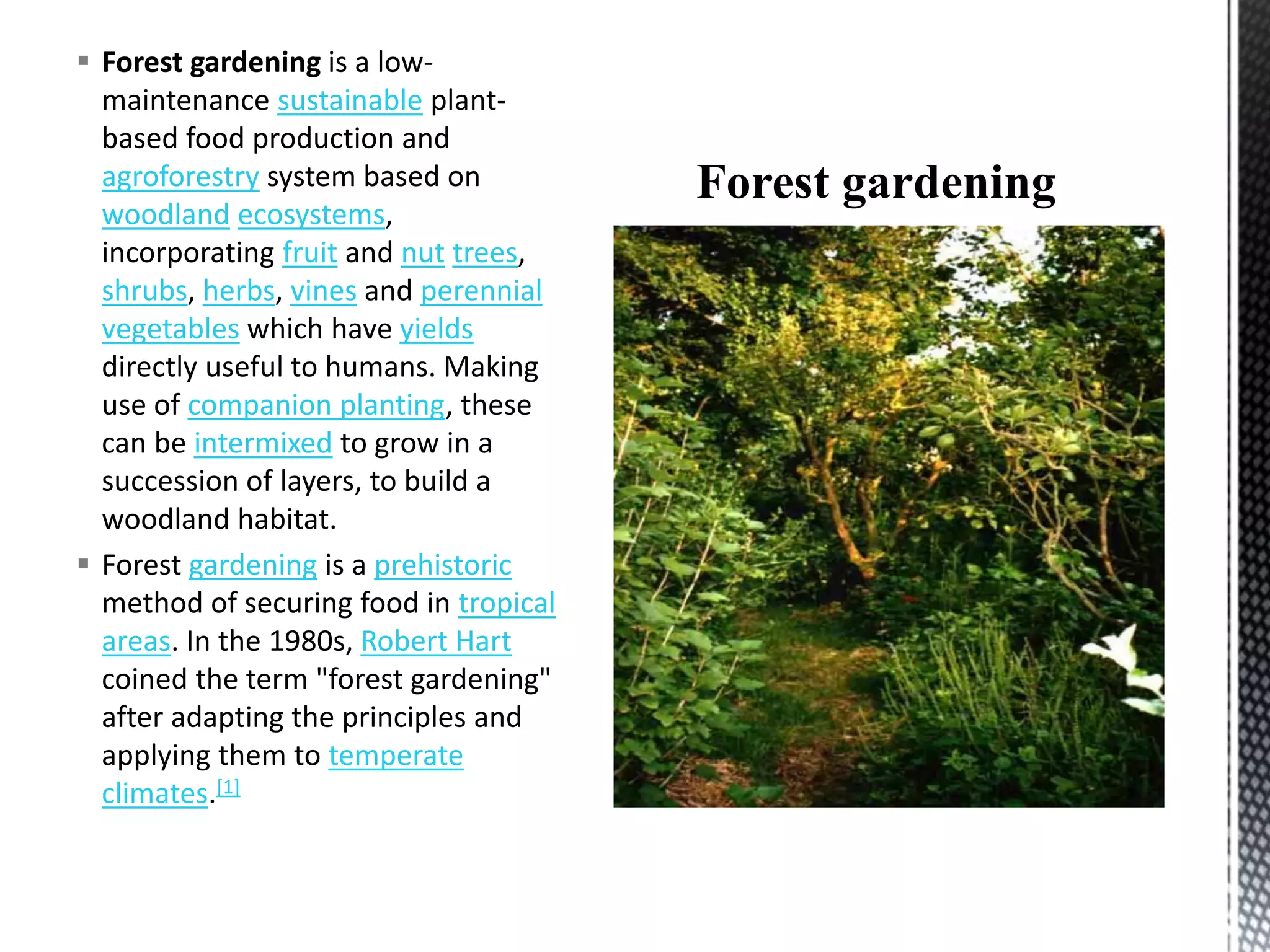 Horticulture ppt | PPTX