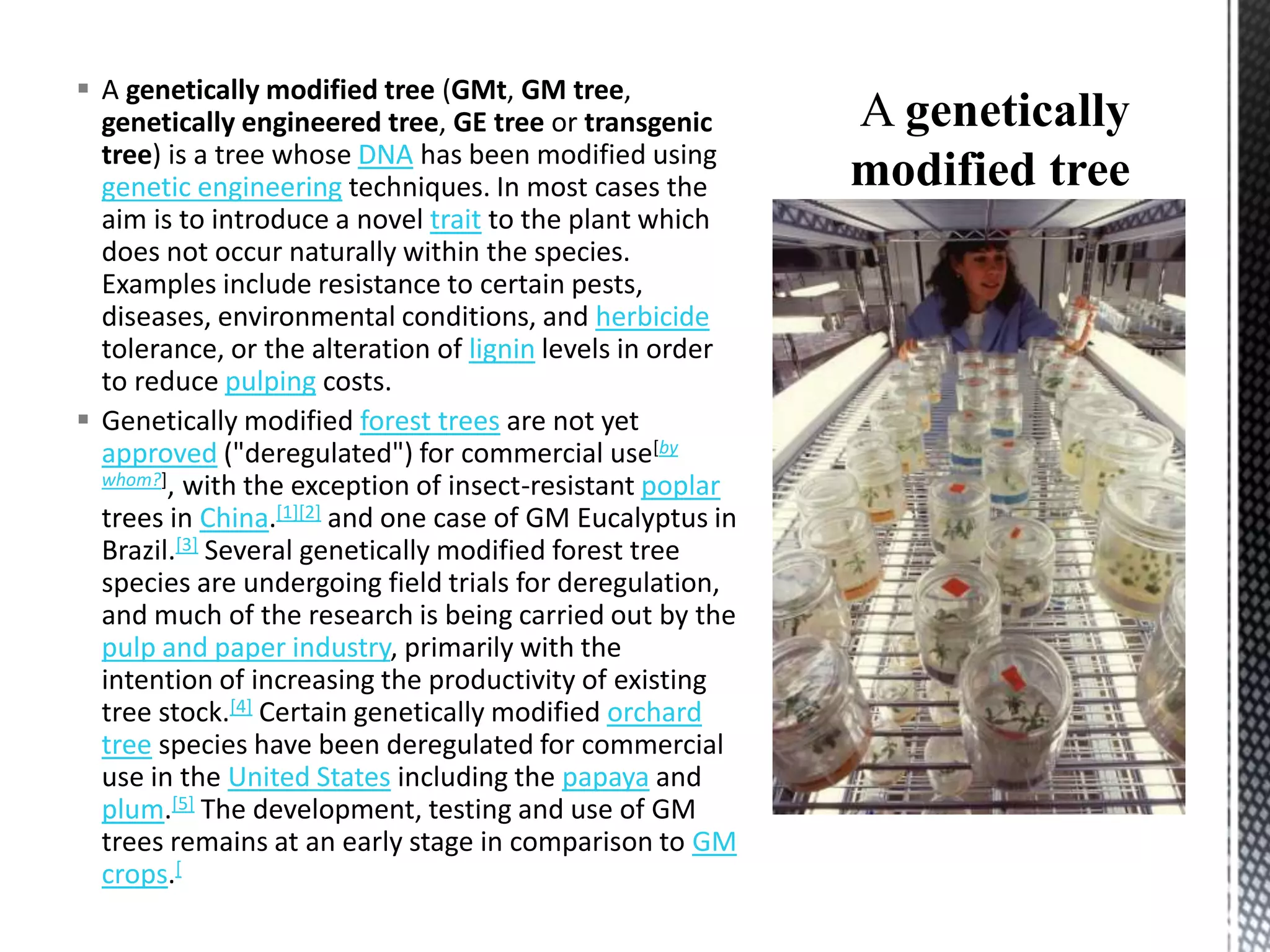 Horticulture ppt | PPTX