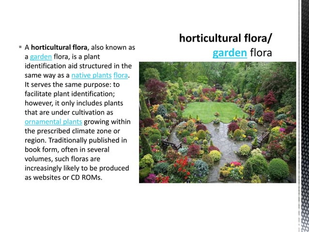 Horticulture ppt | PPTX