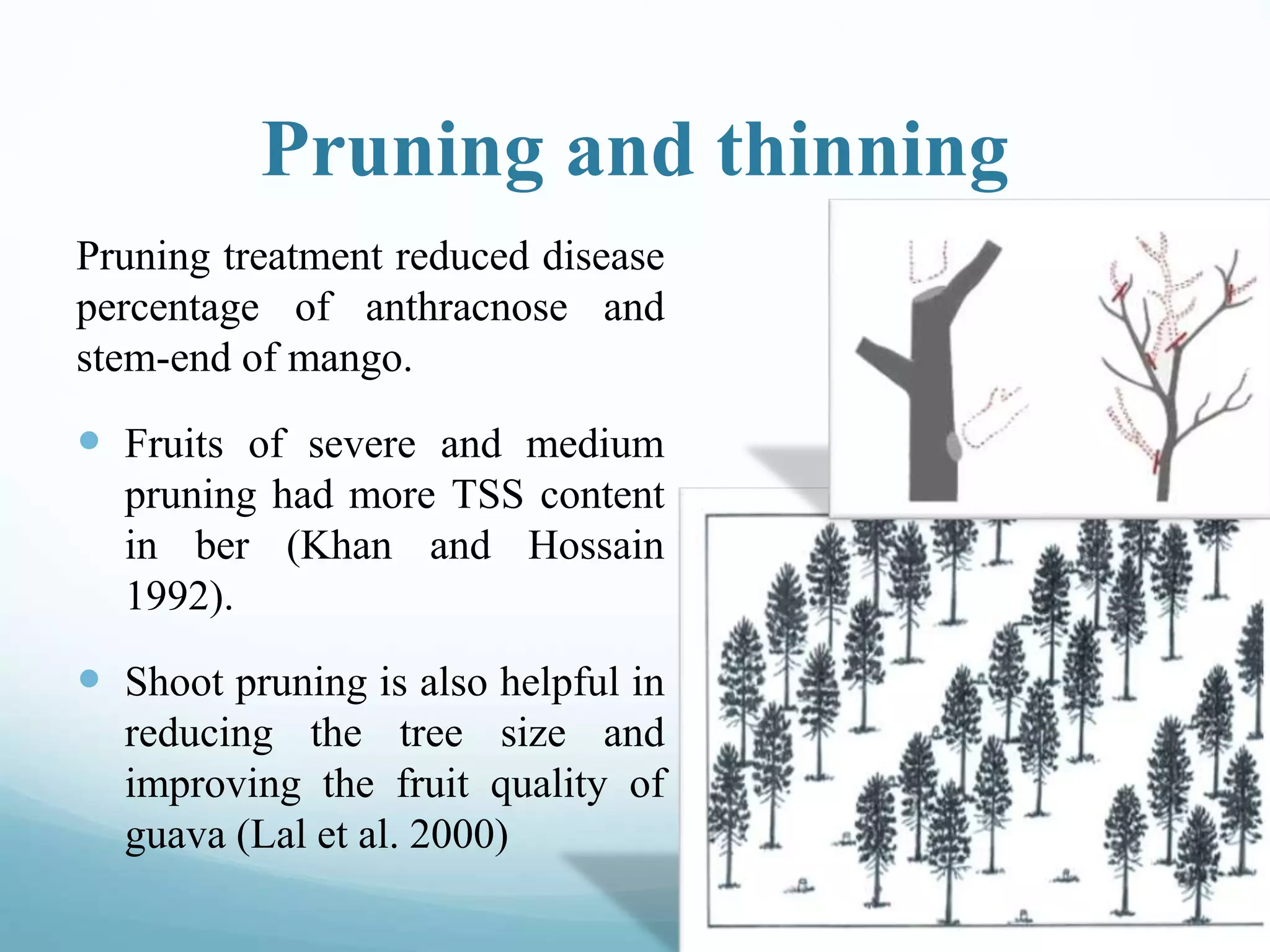 Factors Affecting Quality Of Fruits. | PPTX