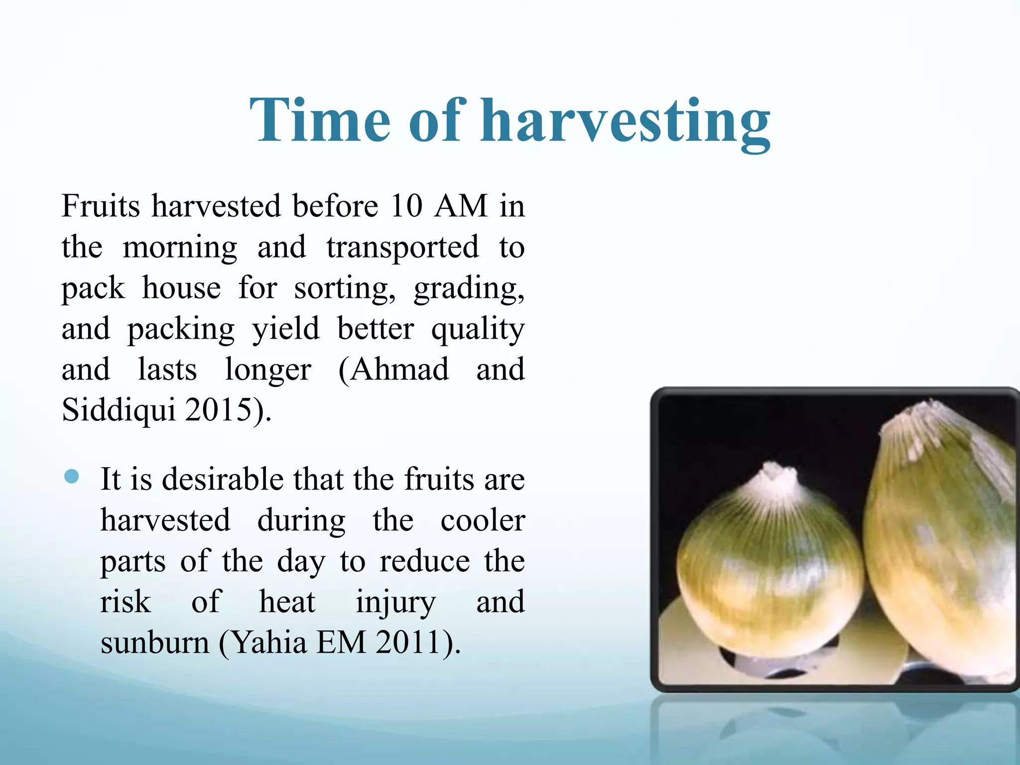 Factors Affecting Quality Of Fruits. | PPTX