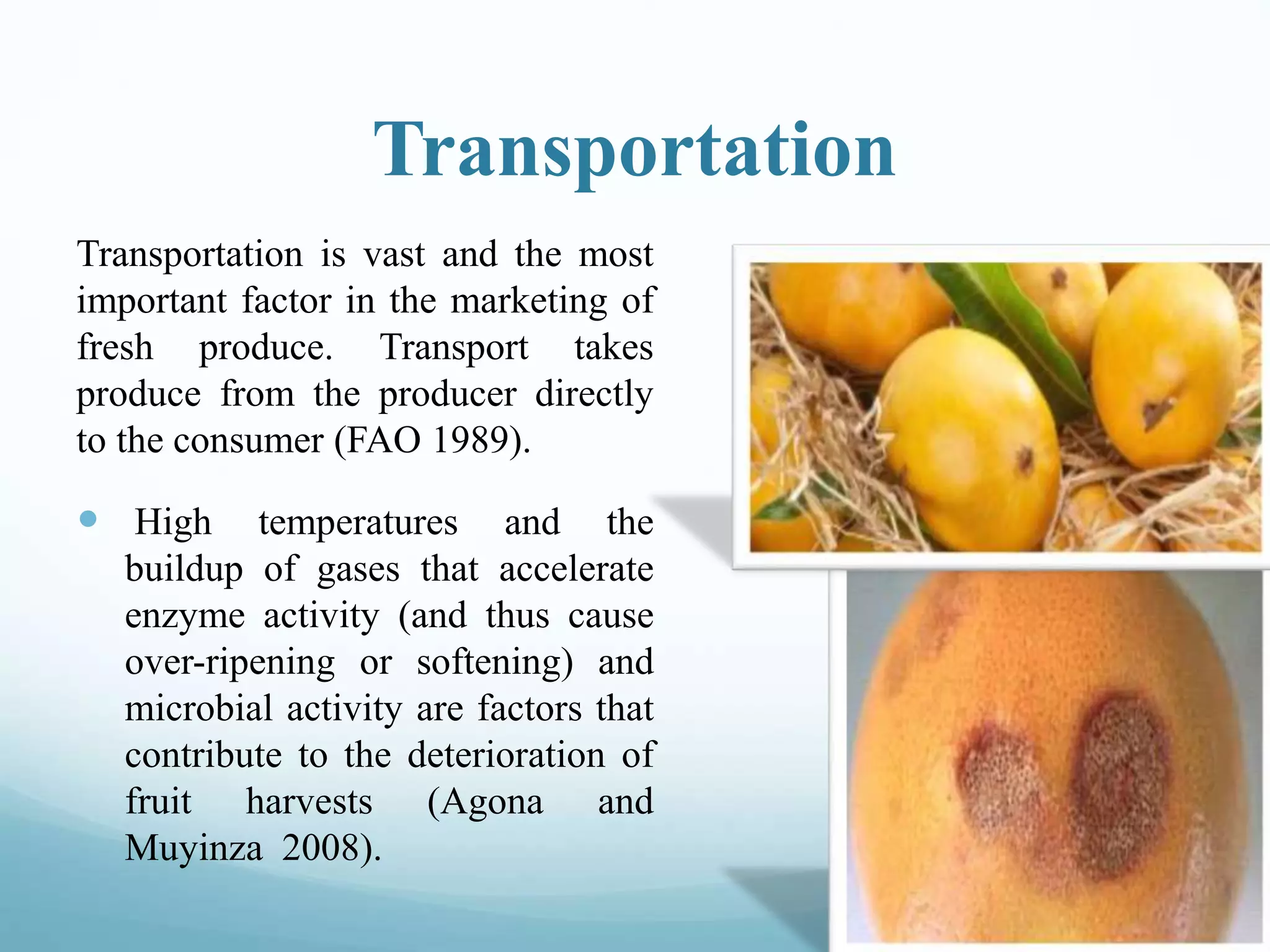 Factors Affecting Quality Of Fruits. | PPTX