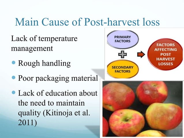 Factors Affecting Quality Of Fruits. | PPTX | Agriculture | Industries