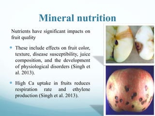 Factors Affecting Quality Of Fruits. | PPTX