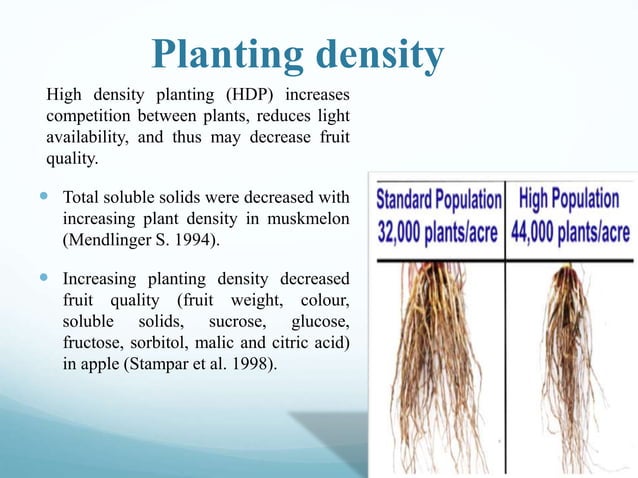 Factors Affecting Quality Of Fruits. | PPTX | Agriculture | Industries