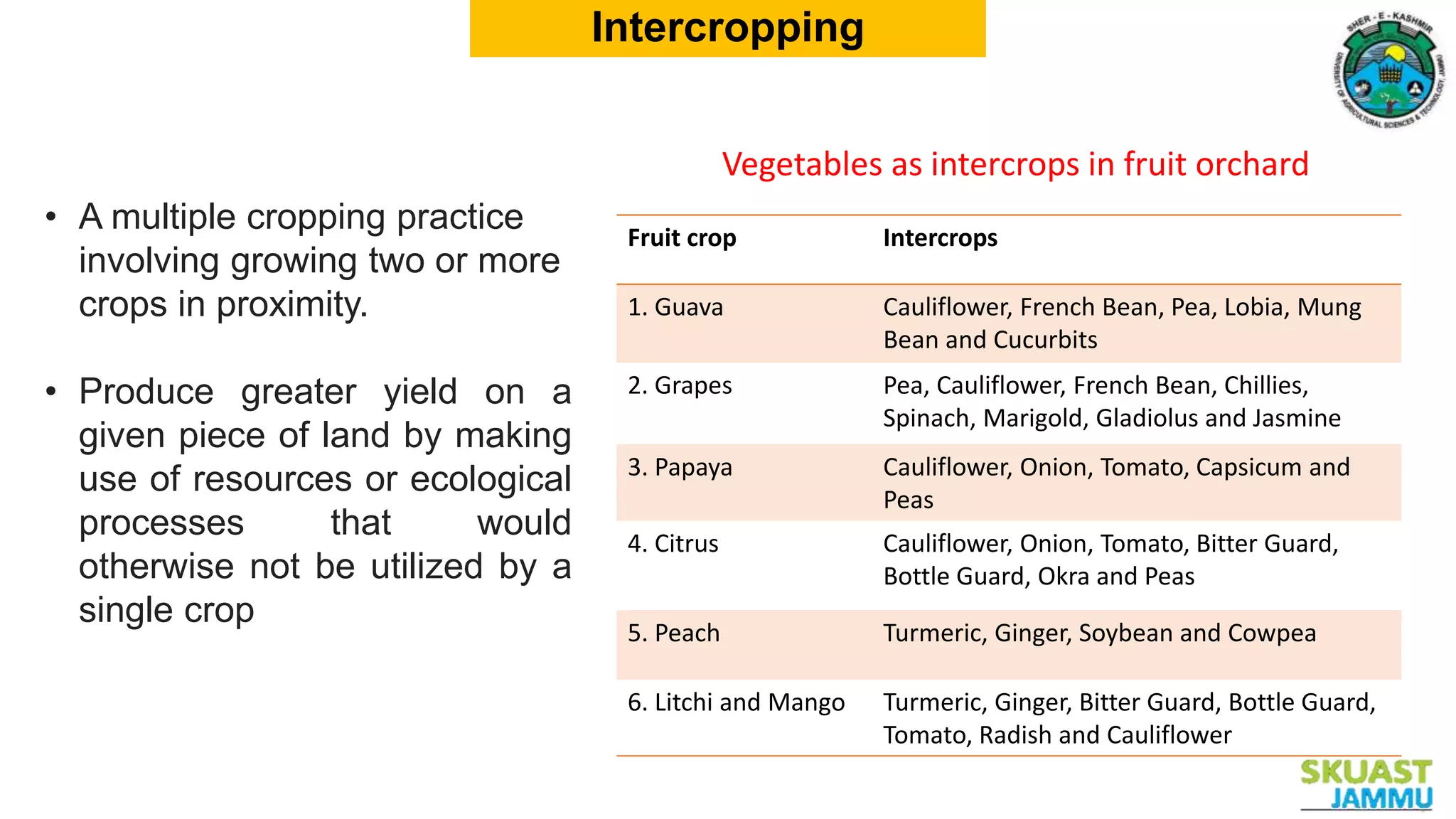 Horticulture Scenario in India | PPTX