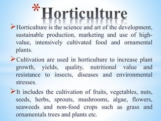Horticulture scenario in the country -scope.pptx