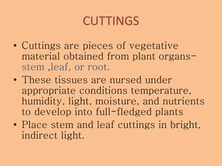 Horticulture cuttings technique | PPT