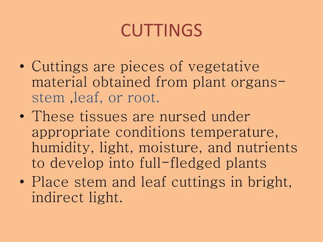 Horticulture cuttings technique | PPT